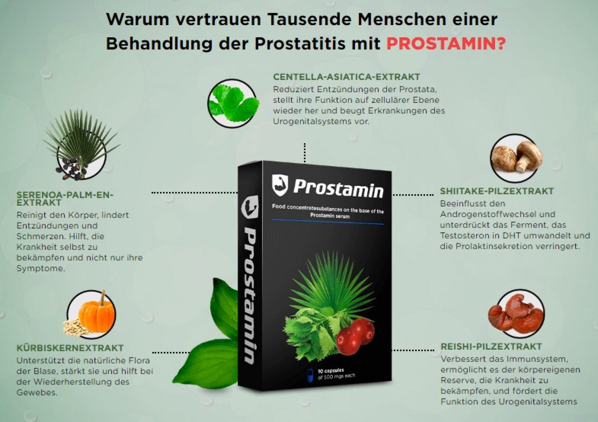 ᐉ PROSTAMIN Wirkung, Anwendung, Erfahrungen, Nebenwirkungen, Bewertung ...