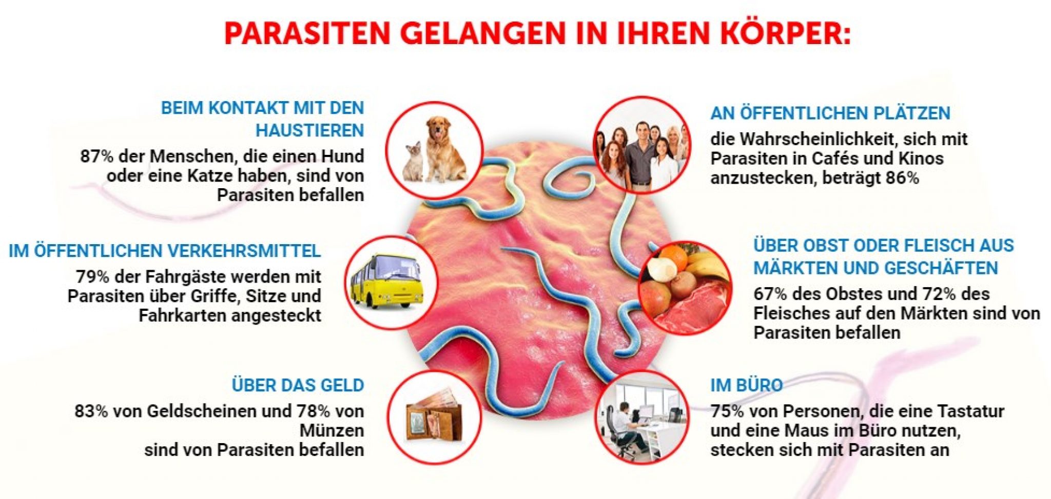ᐉ WORMIN Wirkung, Anwendung, Erfahrungen, Nebenwirkungen, Bewertung und ...