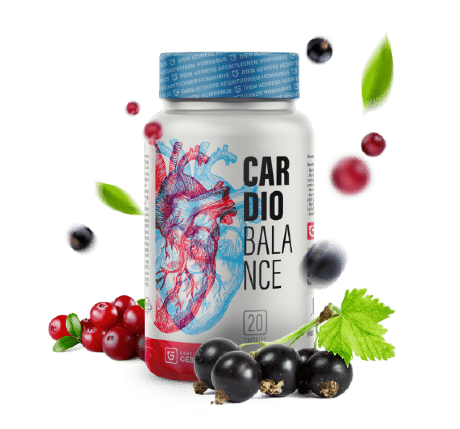 ᐉ CardioBalance Wirkung, Anwendung, Erfahrungen, Nebenwirkungen ...